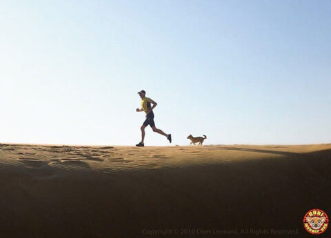Finding Gobi: The Story of How a Runner and a Stray Dog Brought the ...