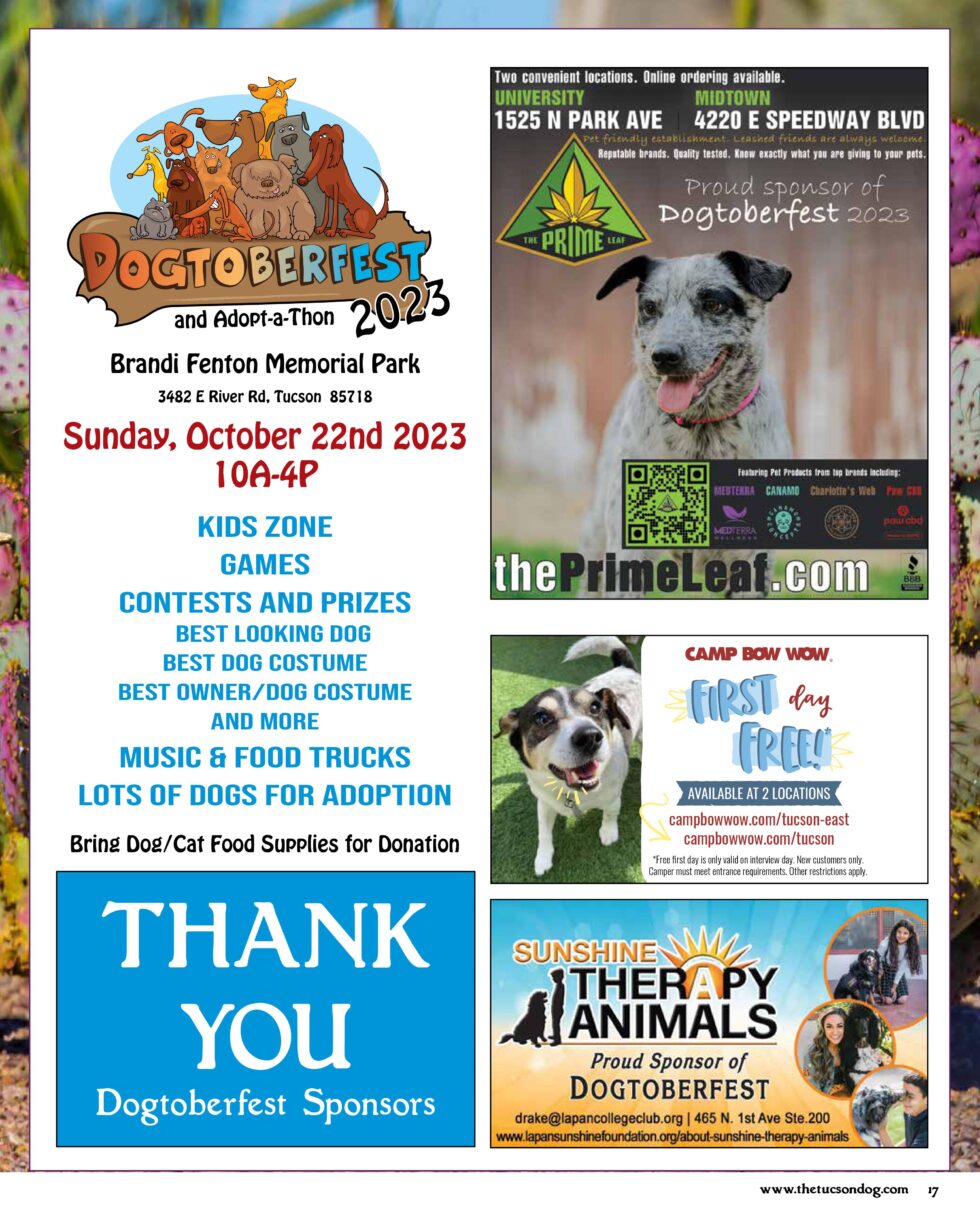 Homepage - The Tucson Dog