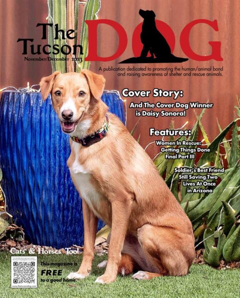Past Issues - The Tucson Dog