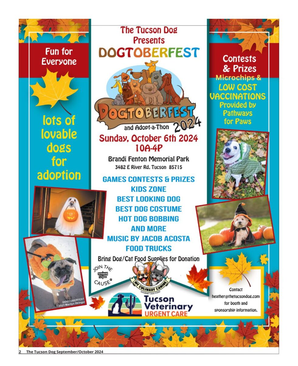 Homepage - The Tucson Dog